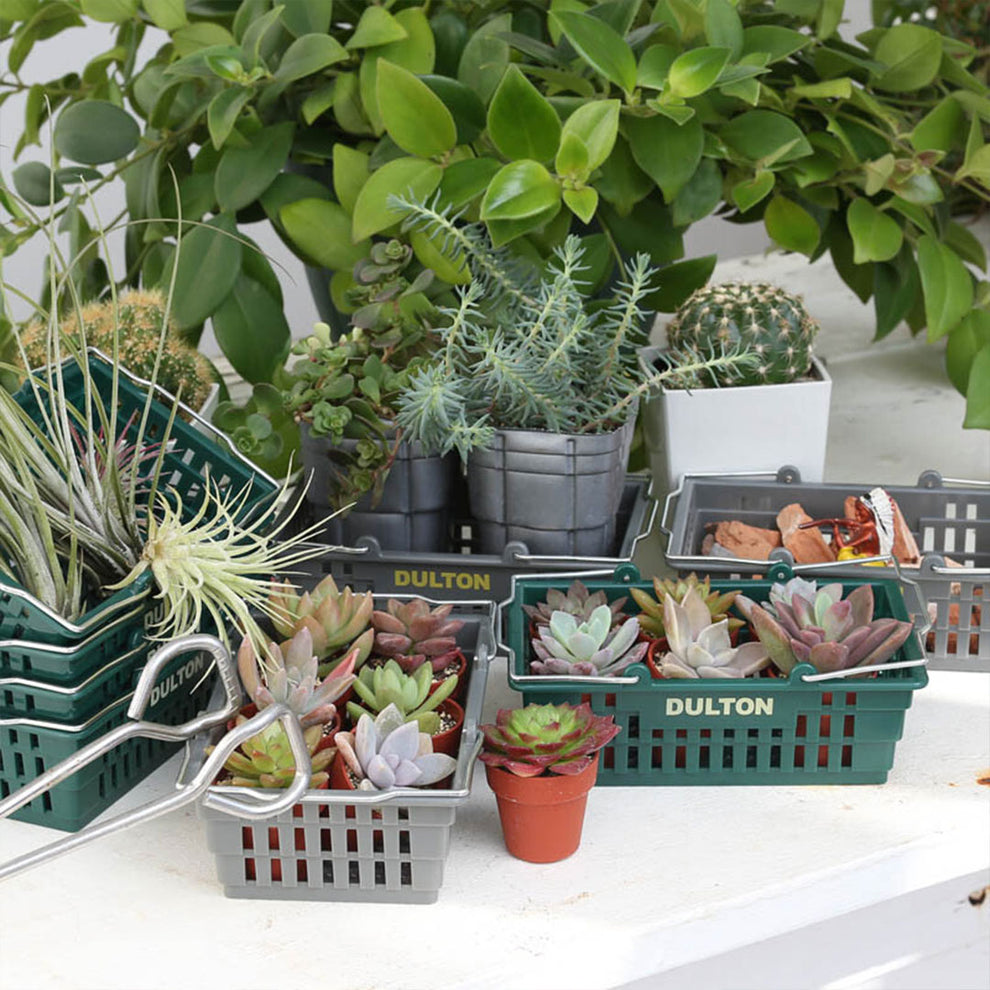 Dulton Mini Shopping Basket Organizer – bobo design studio